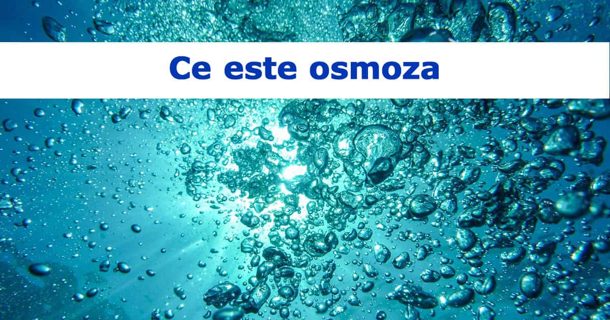 Ce este osmoza și care este rolul ei în spălarea mașinilor