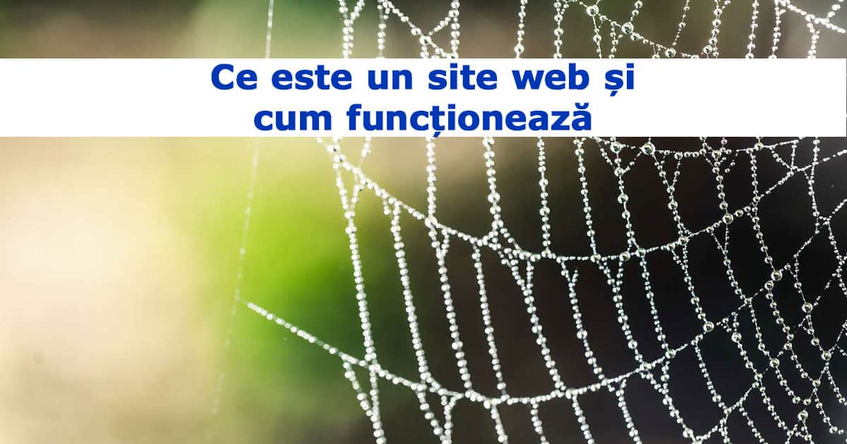 Ce este un site web și cum funcționează